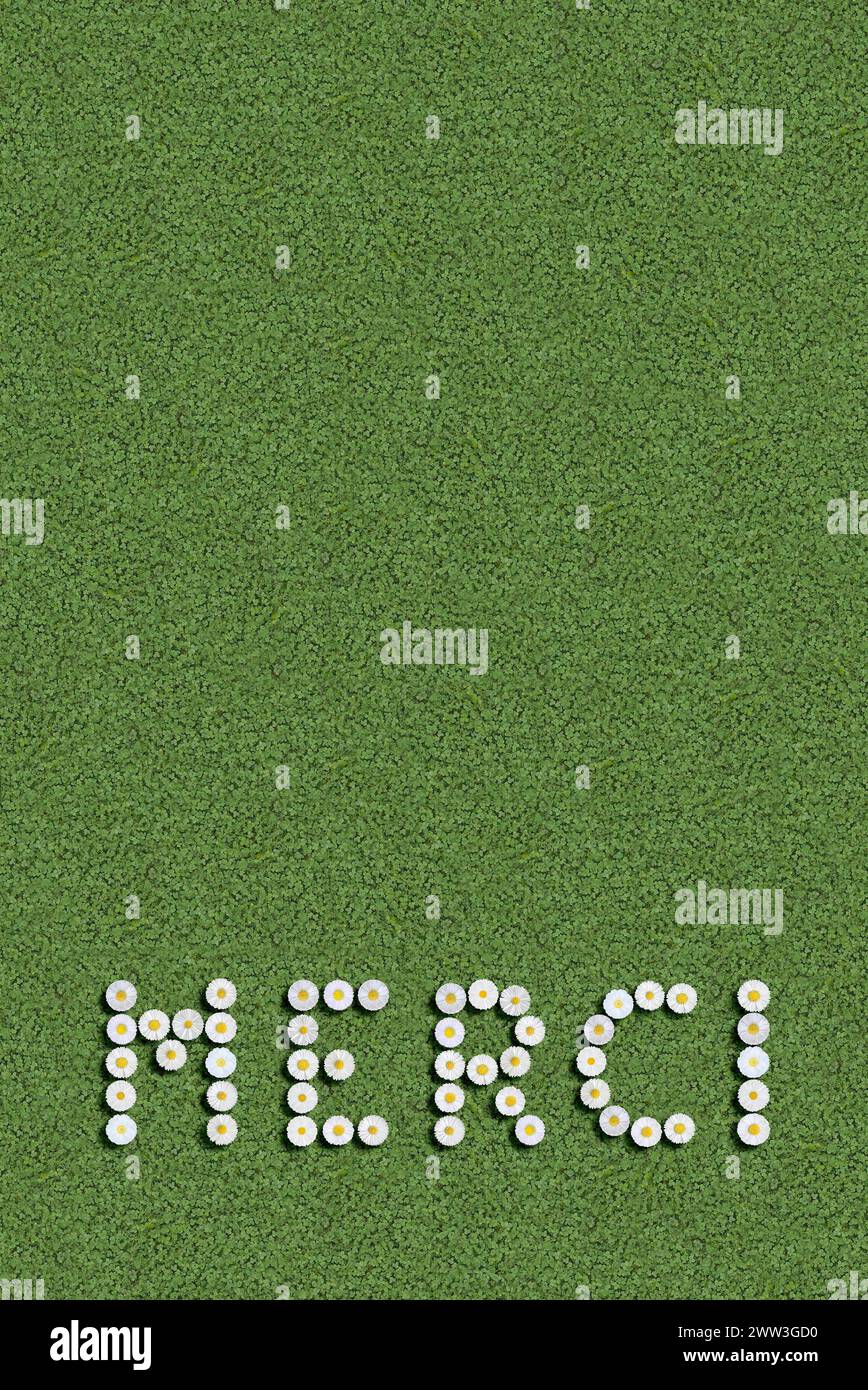 Merci Thanks Thank you in french language written with flowers Stock ...