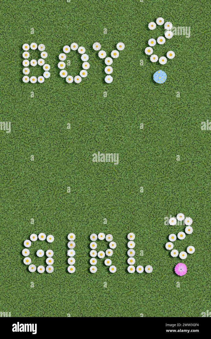 Boy girl and question marks written with flowers is it a boy or a girl ...
