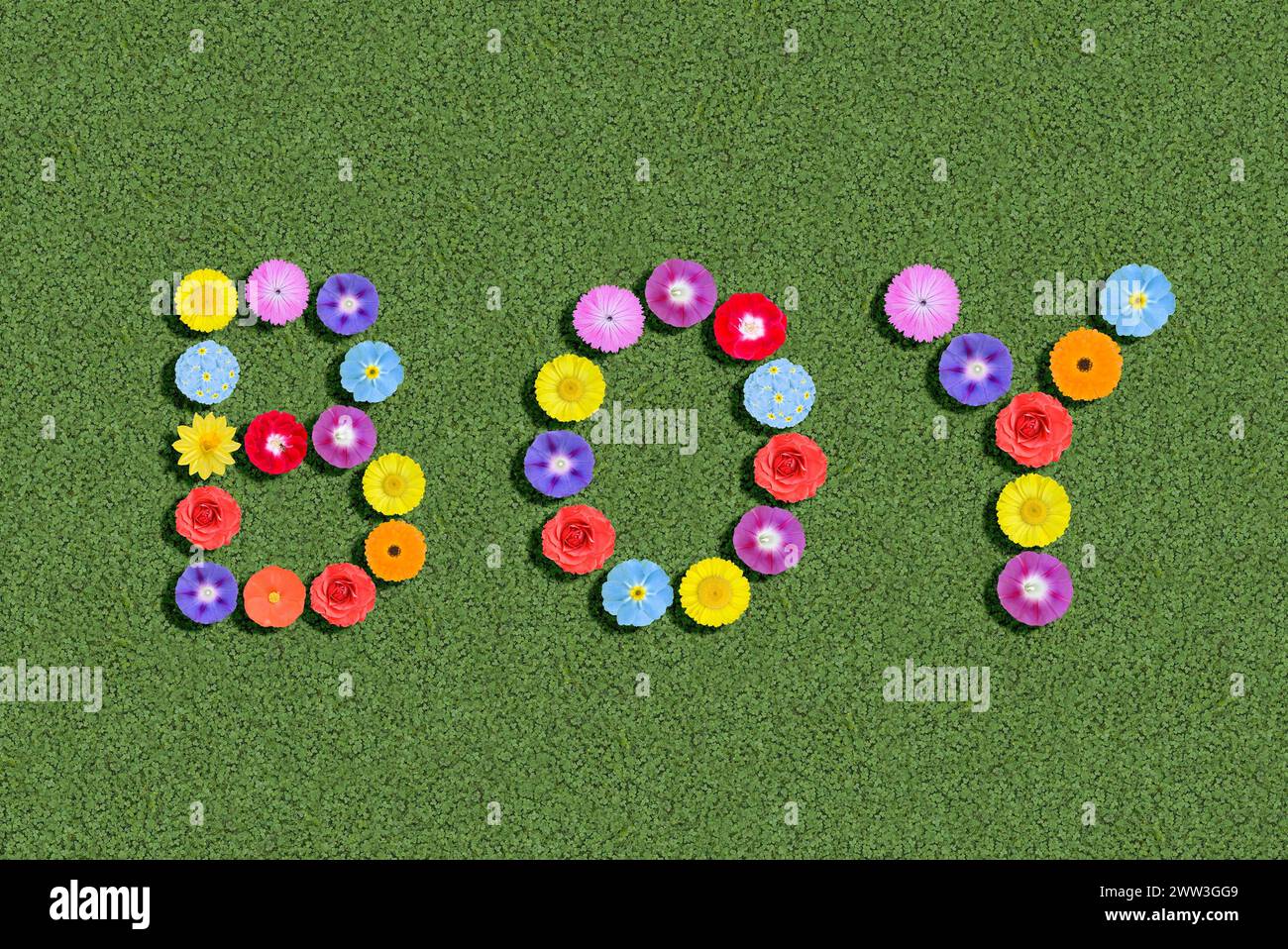 Boy written with flowers Stock Photo - Alamy