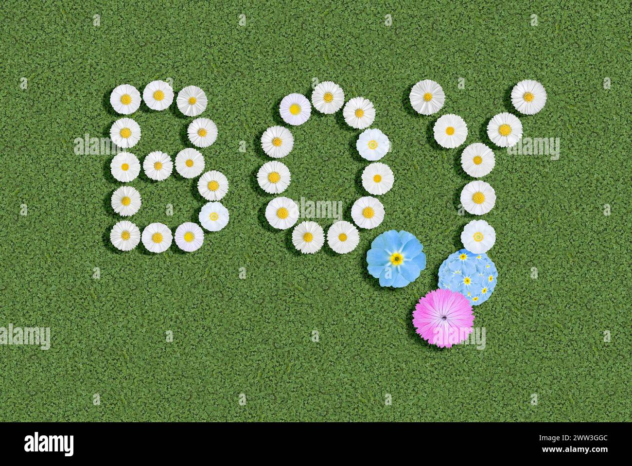 Boy written with flowers Stock Photo - Alamy