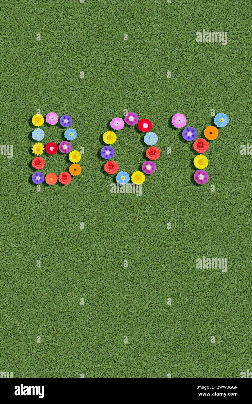 Boy written with flowers Stock Photo - Alamy