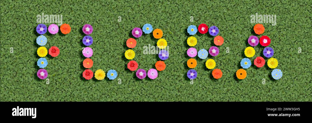 Flora written with flowers Stock Photo - Alamy