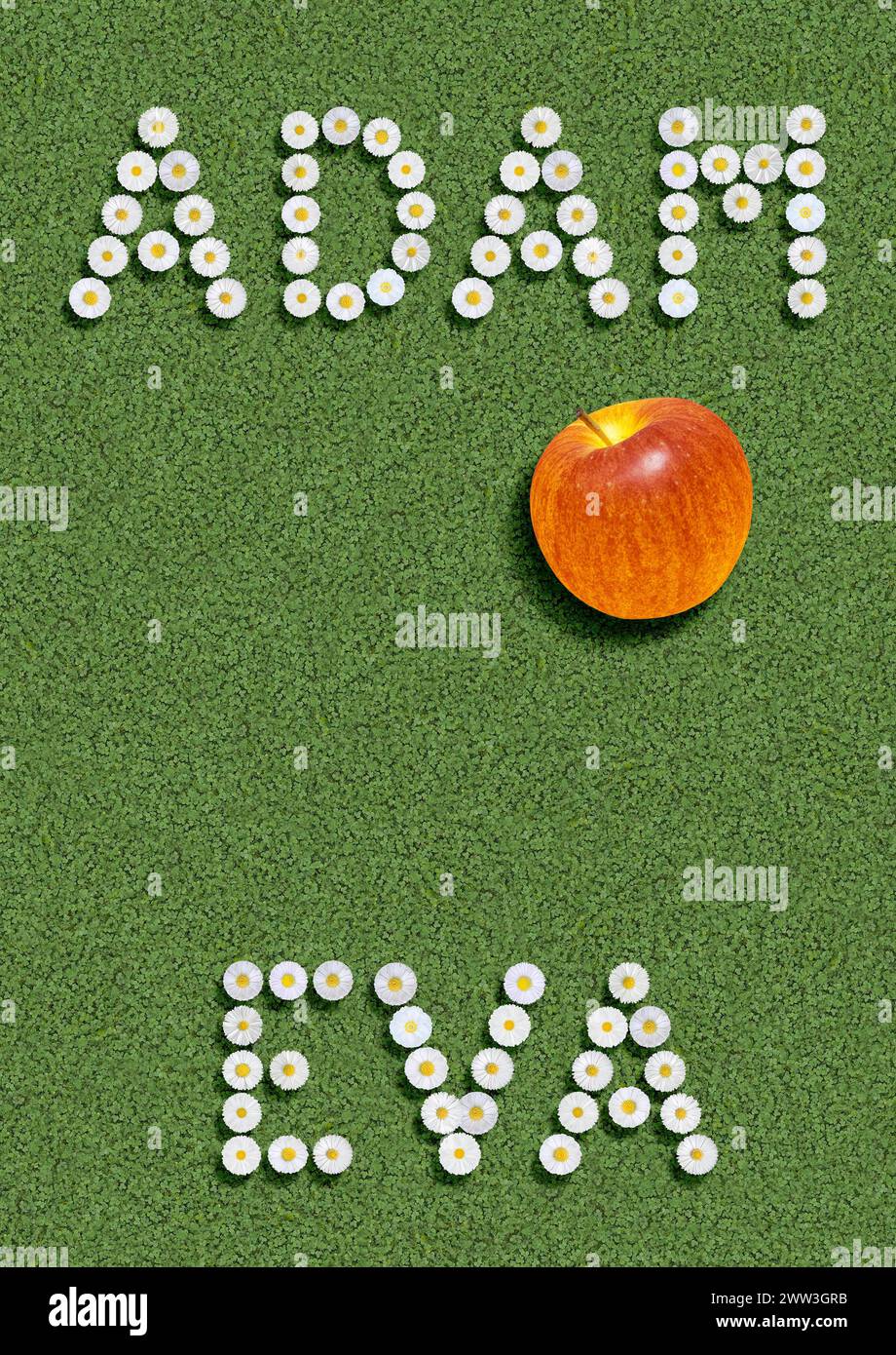 Eva letter hi-res stock photography and images - Alamy