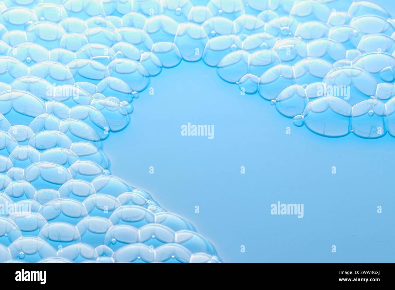 Swim bladder hi-res stock photography and images - Alamy