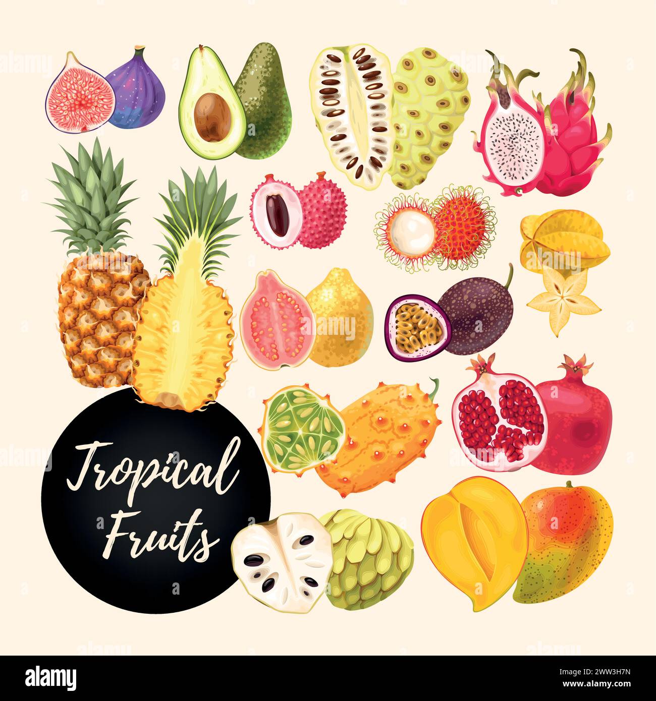 Set of tropical fruits Stock Vector Image & Art - Alamy