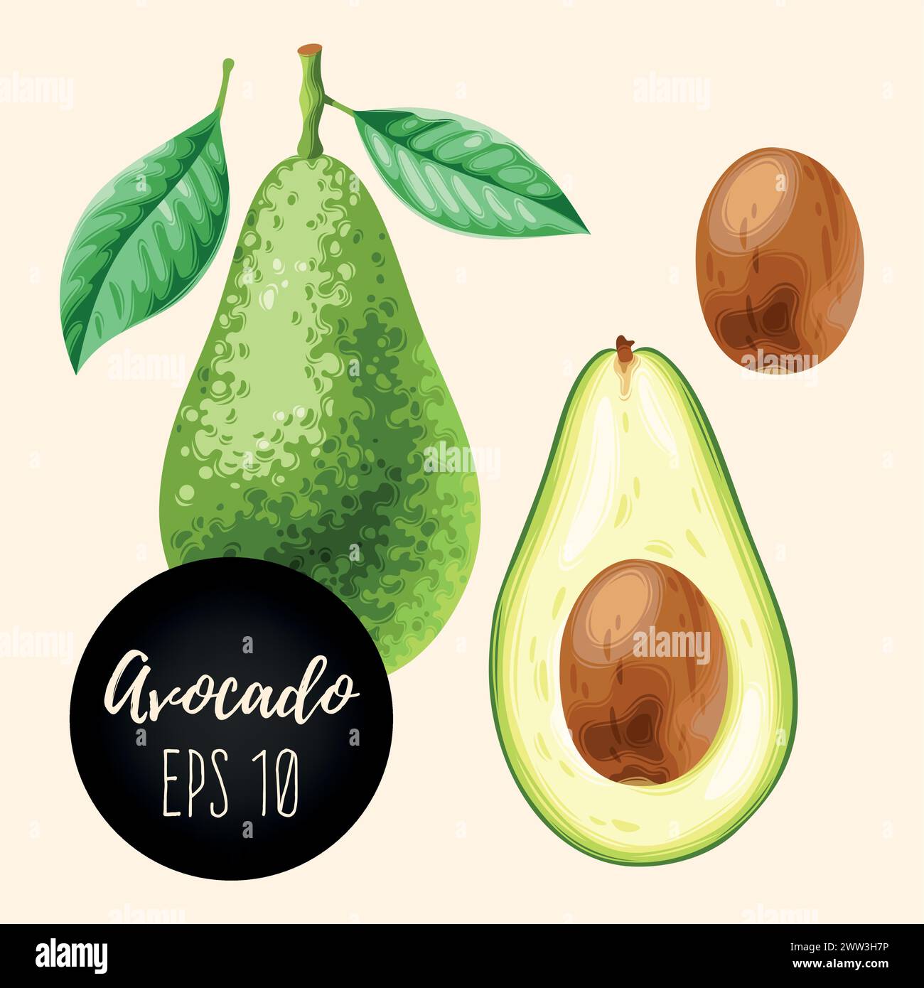 Set fresh avocados isolated Stock Vector Images - Alamy