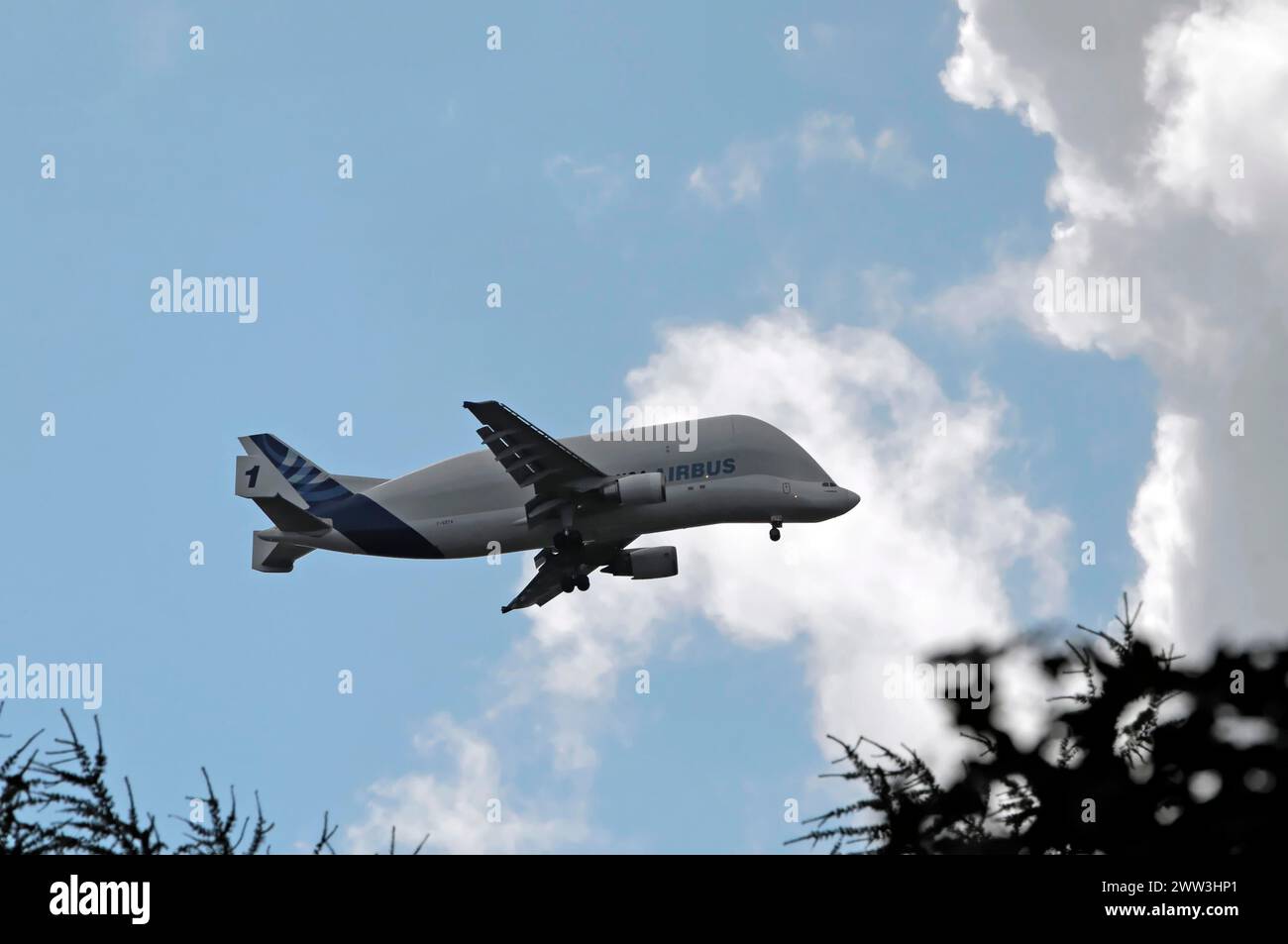 Beluga, Airbus, A300-600, Aircraft, Transport aircraft, Loading ...