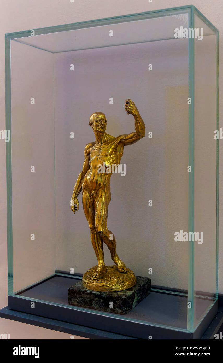 Jean-Antoine Houdon, Muscle Man, gilt bronze, Skulpturensammlug im Bode ...