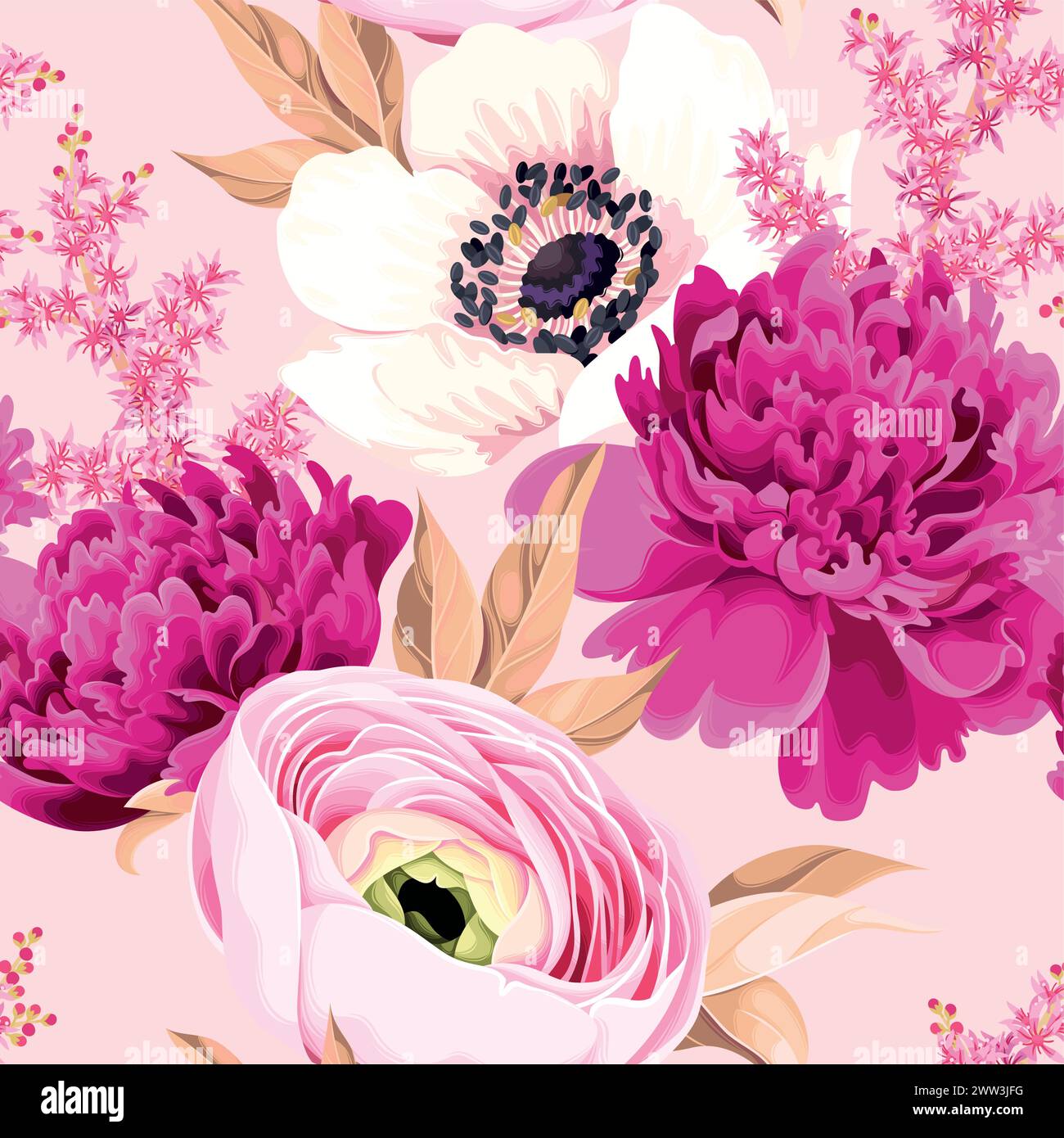 Ranunculus flower illustration Stock Vector Images - Alamy
