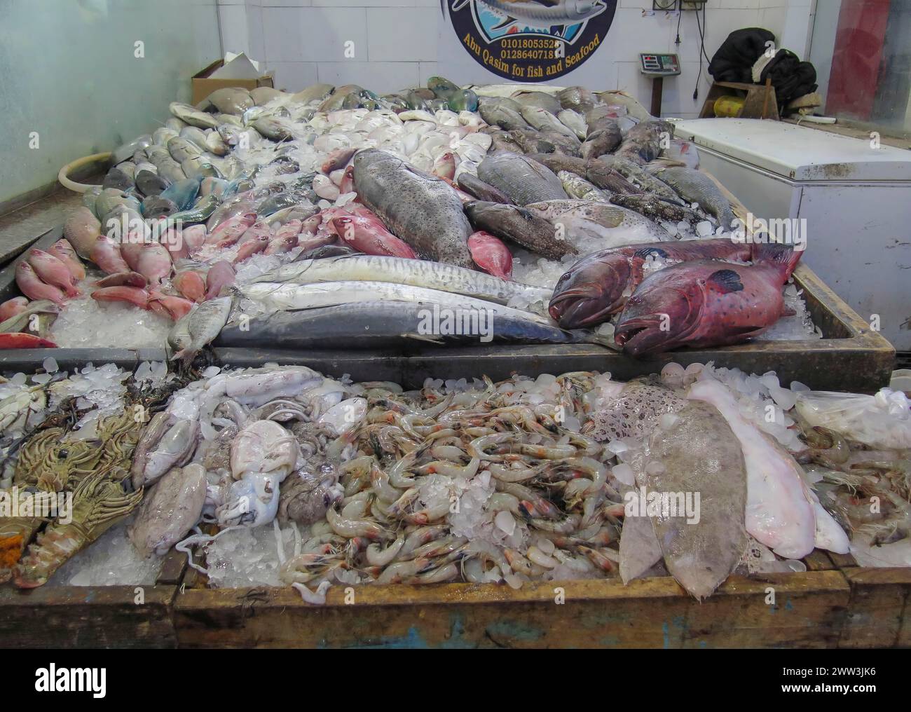 Fish in the fish market of Hurghada, Egypt Stock Photo - Alamy