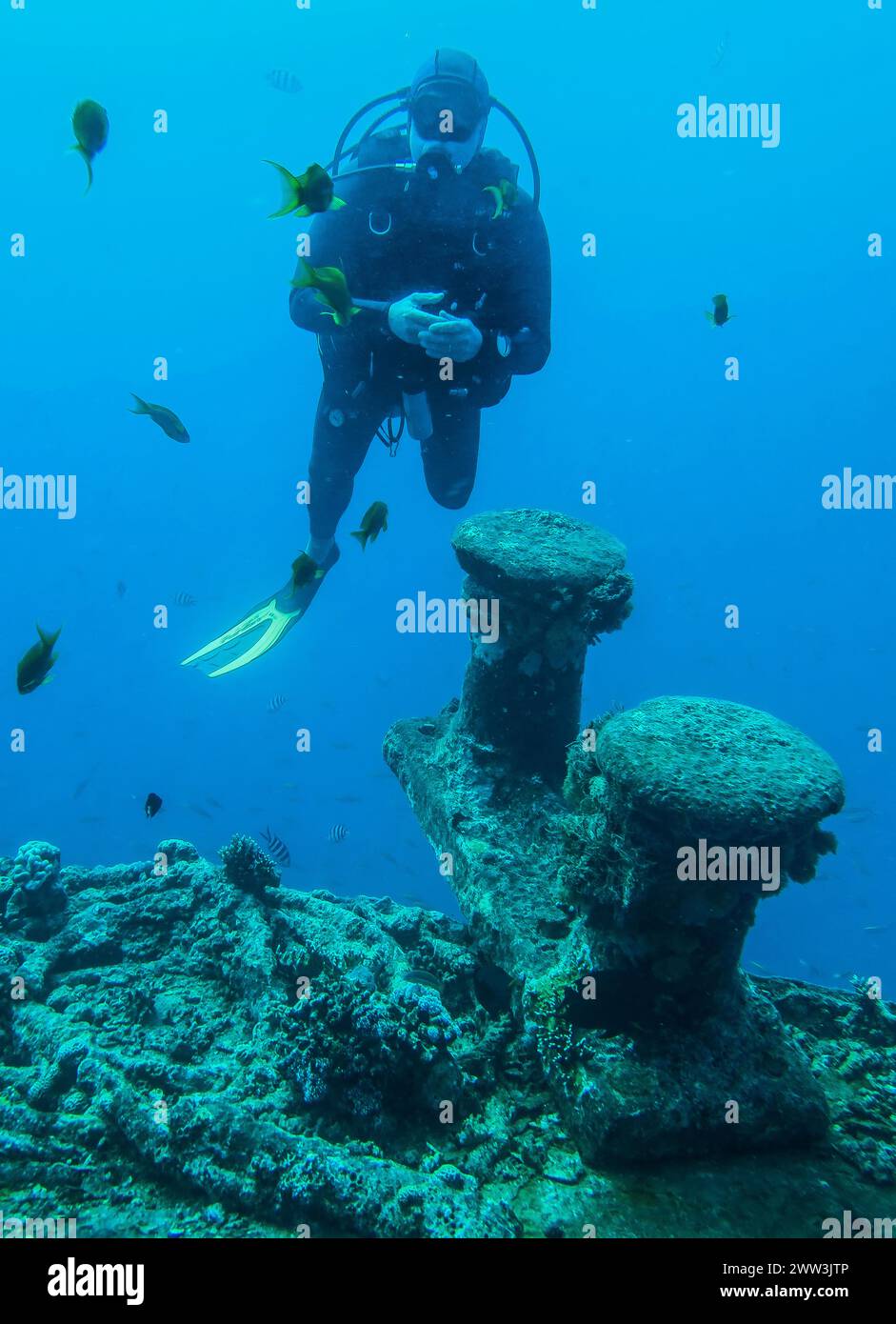 Egyptian diver hi-res stock photography and images - Alamy