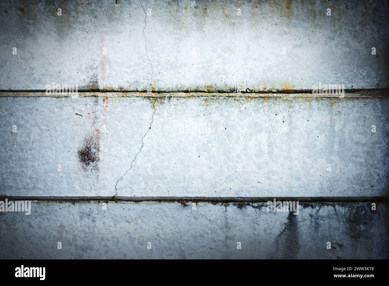 Concrete, wall and closeup on texture outdoor with detail of mold and ...