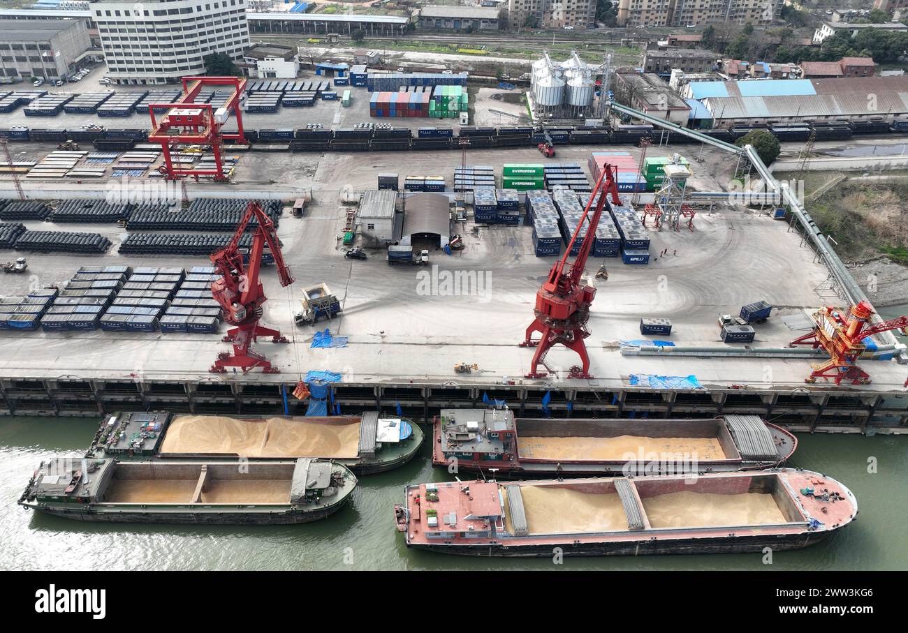 JIUJIANG, CHINA - MARCH 21, 2024 - A crane lifts corn from a ship into ...
