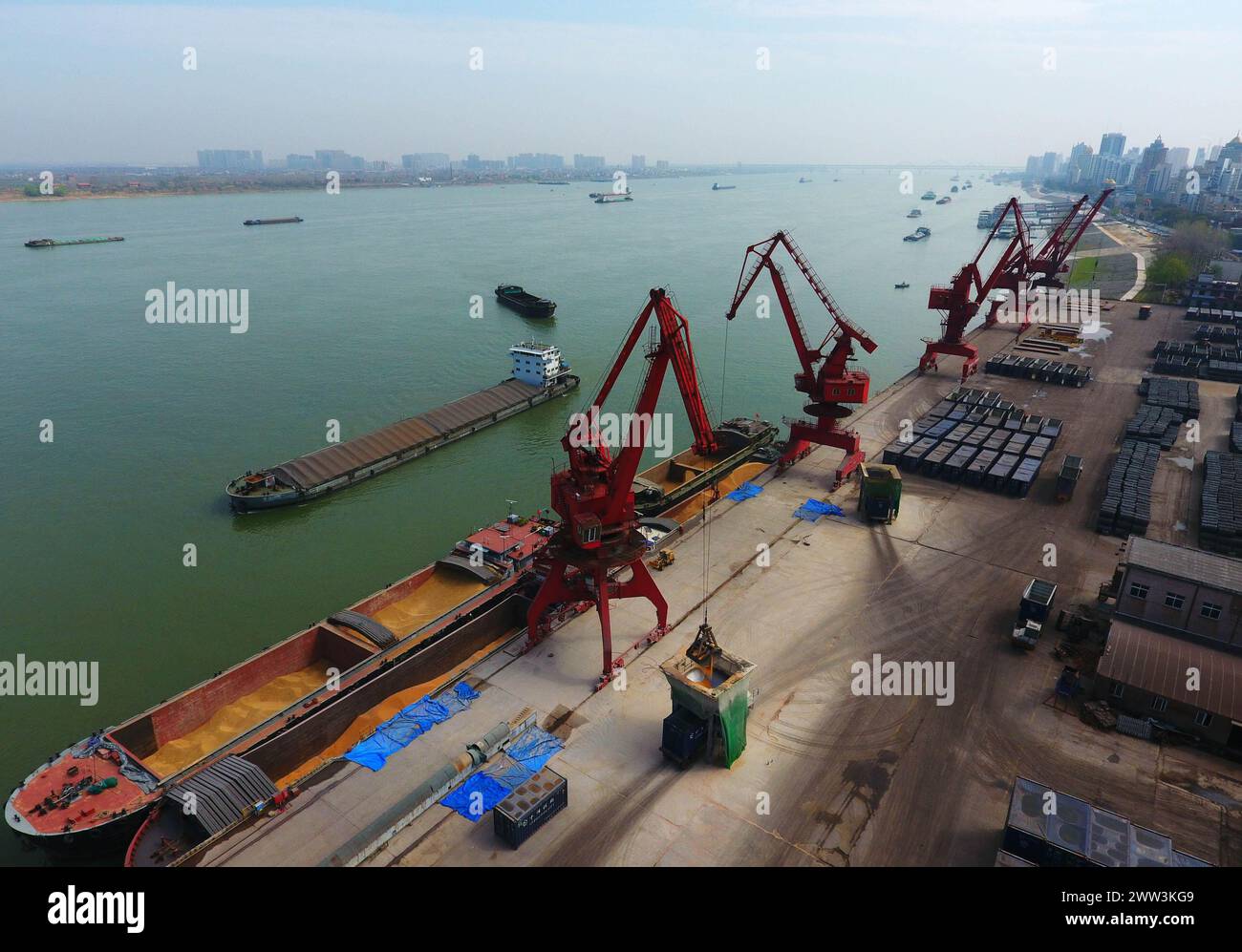 JIUJIANG, CHINA - MARCH 21, 2024 - A crane lifts corn from a ship into ...