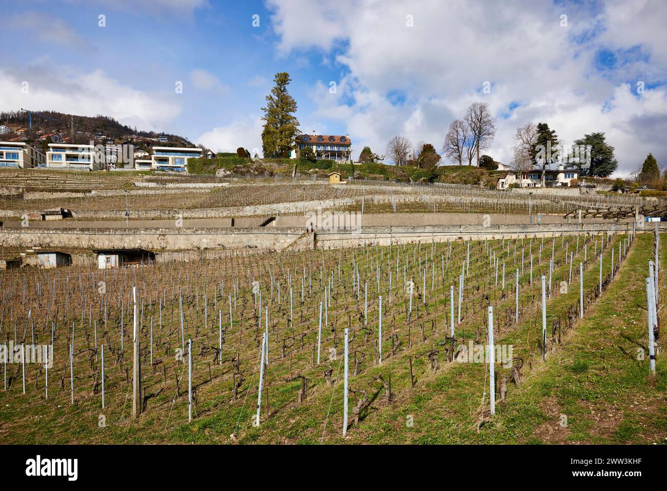 UNESCO World Heritage vineyard terraces of Lavaux with houses and blue ...