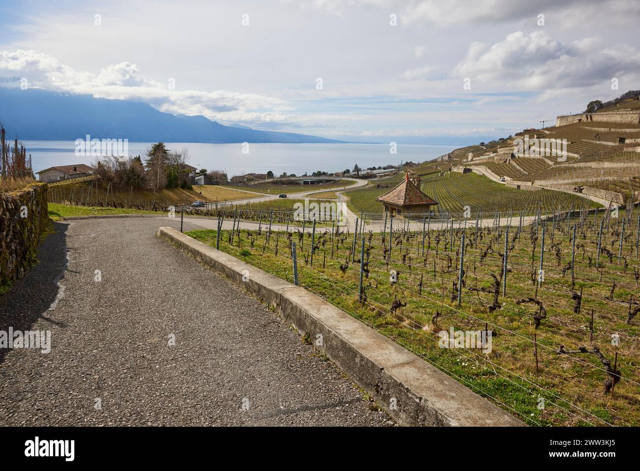 UNESCO World Heritage vineyard terraces of Lavaux and paths through the ...