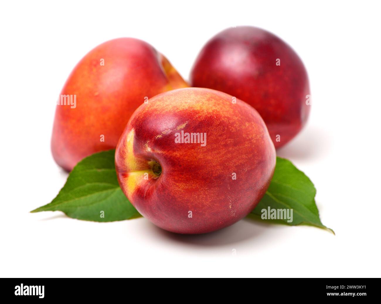Close up view nectarine Cut Out Stock Images & Pictures - Alamy