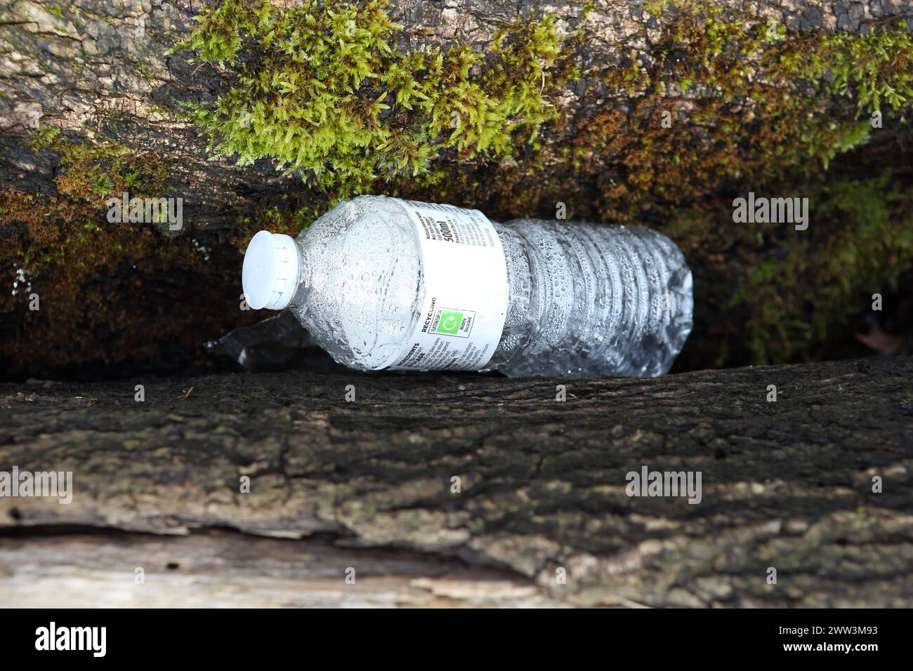 Plastic single use water bottle with recycling logo on label wedged ...