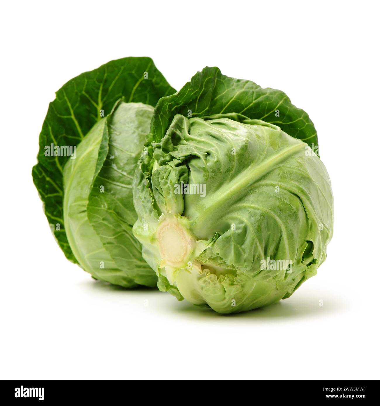 Cabbage on white background Stock Photo - Alamy