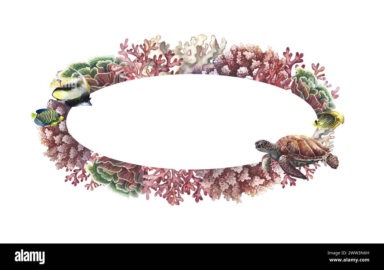Oval frame with corals, sea turtle and fish. Hand-painted watercolor ...