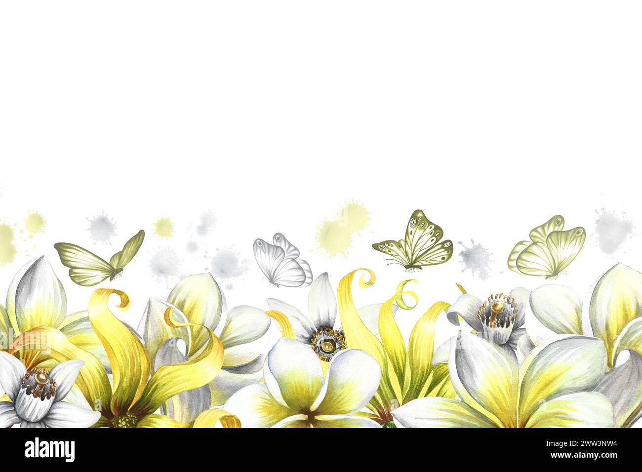 A border with fragrant flowers of plumeria, frangipani, orange blossom ...