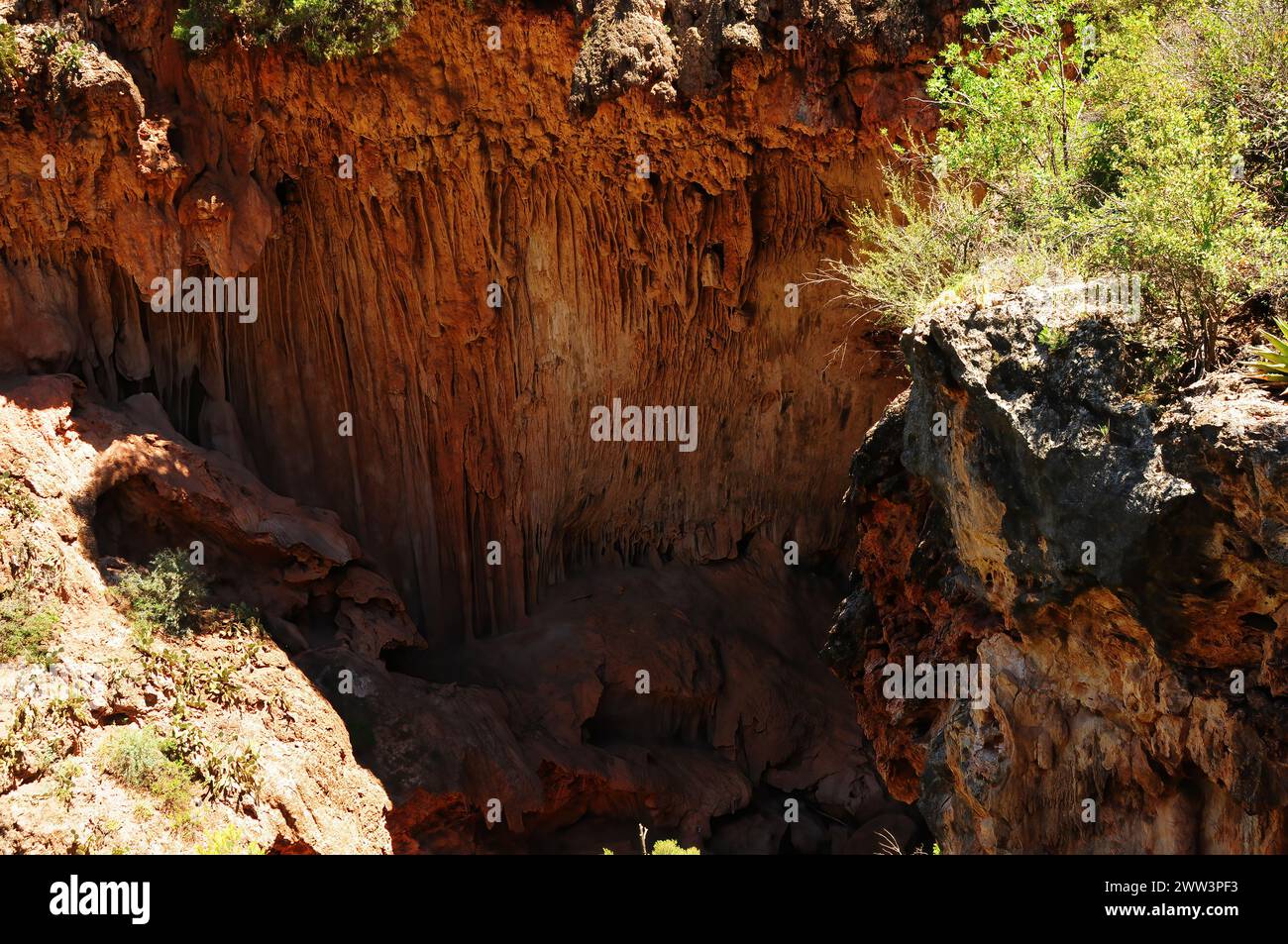 Arizona mountains forests hi-res stock photography and images - Alamy