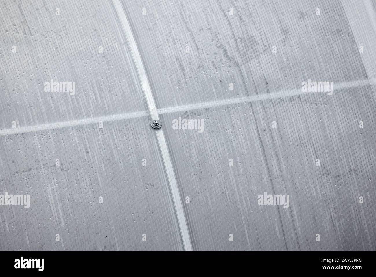 Round greenhouse wall made of transparent polycarbonate sheets over ...