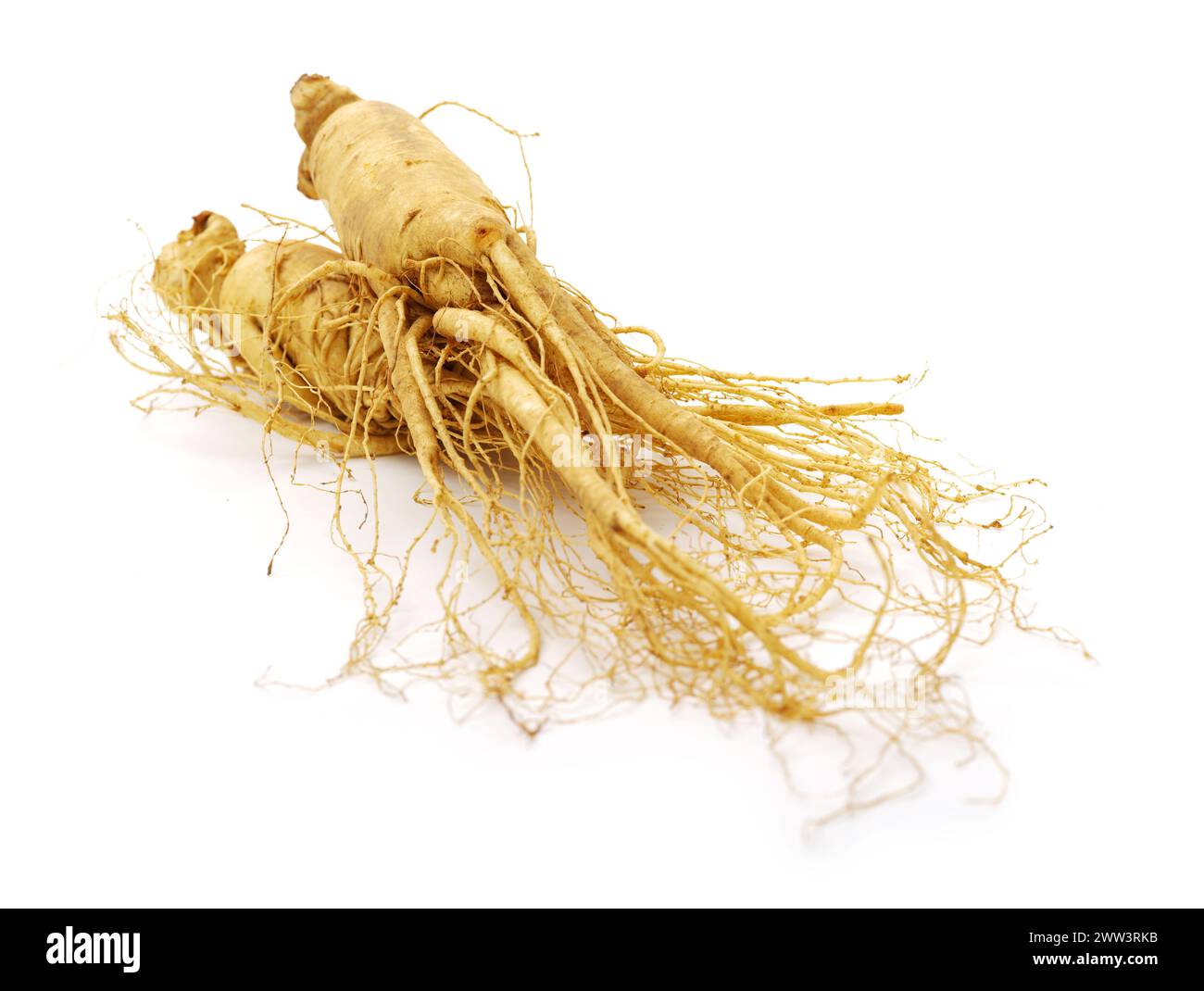 ginseng isolated on white background Stock Photo - Alamy
