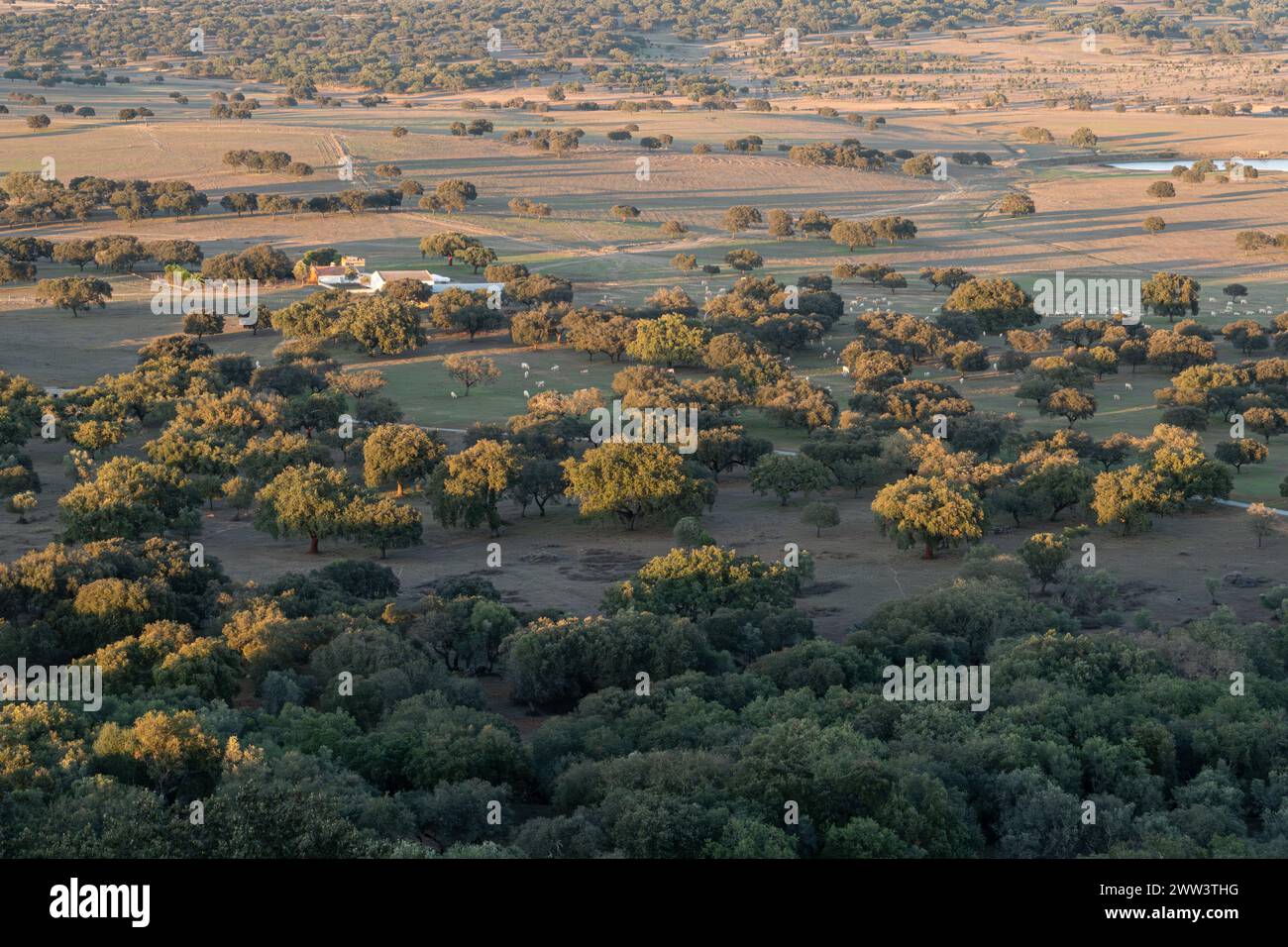 Alter pedroso hi-res stock photography and images - Alamy