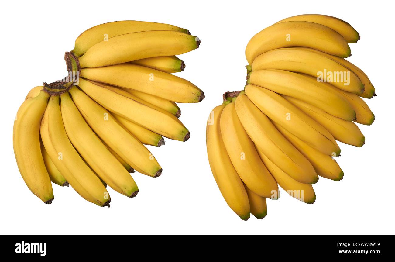description: bunch of fresh bananas, set of ripe tropical fruit with ...