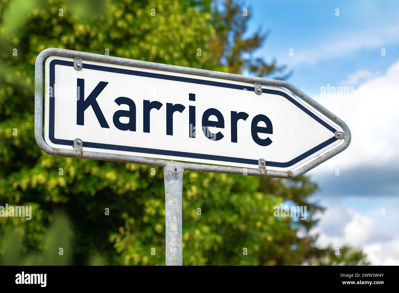 March 21, 2024: Career, lettering on a signpost signpost. PHOTOMONTAGE ...