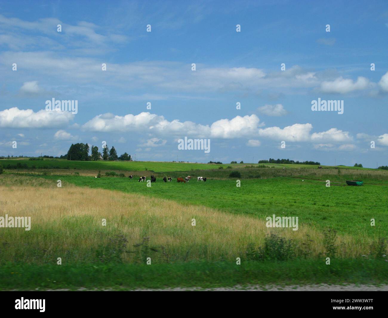 Fields and forests in Lithuania Stock Photo - Alamy
