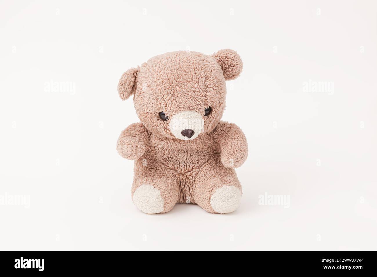 Cute brown plush bear isolated on white background Stock Photo - Alamy
