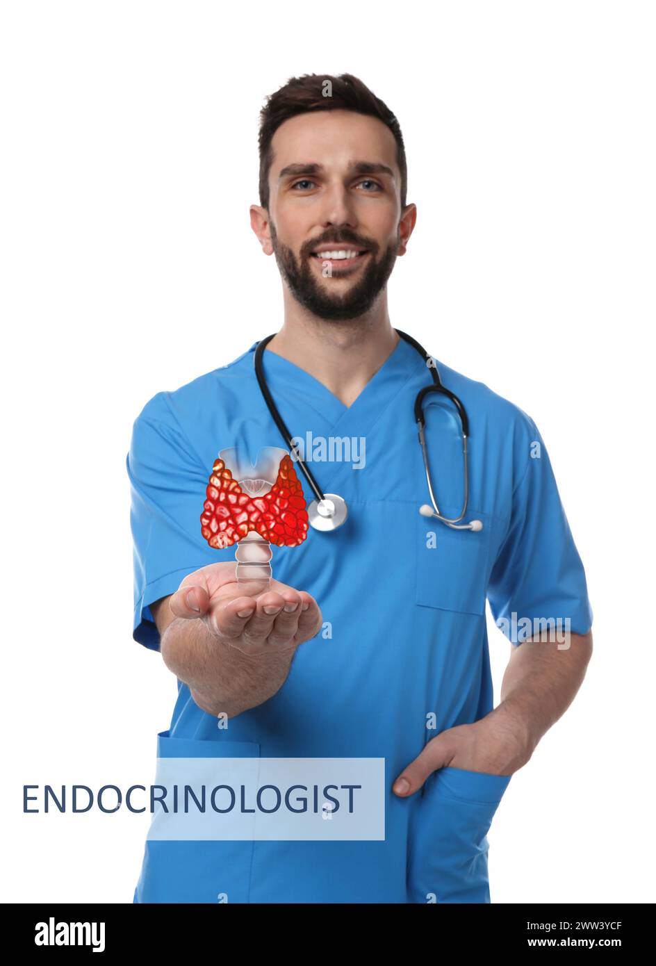 Endocrinologist holding thyroid illustration on white background Stock ...