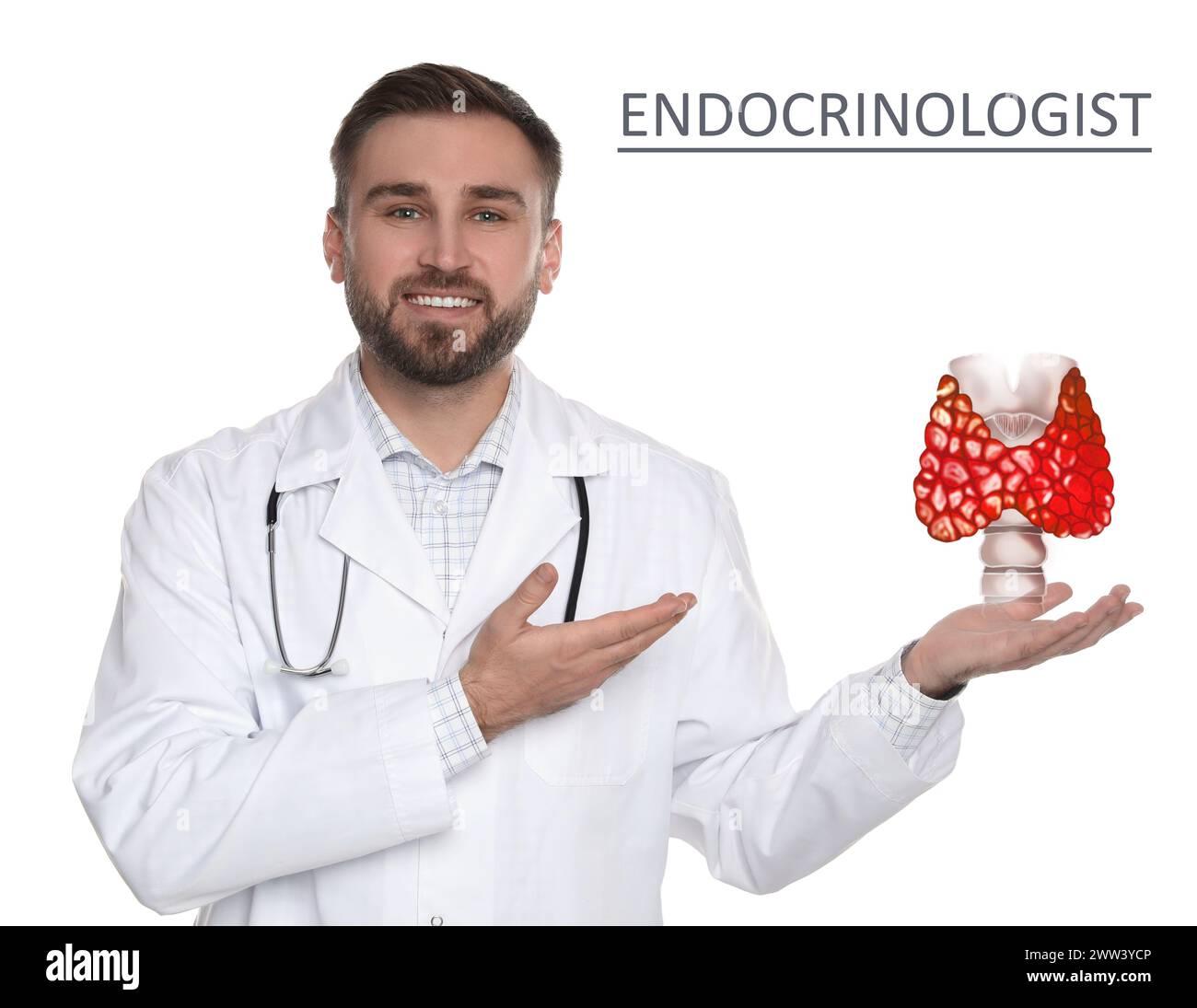 Endocrinologist holding thyroid illustration on white background Stock ...