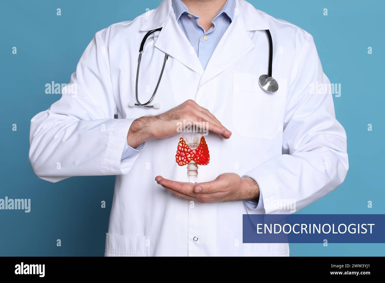 Endocrinologist holding thyroid illustration on light blue background ...