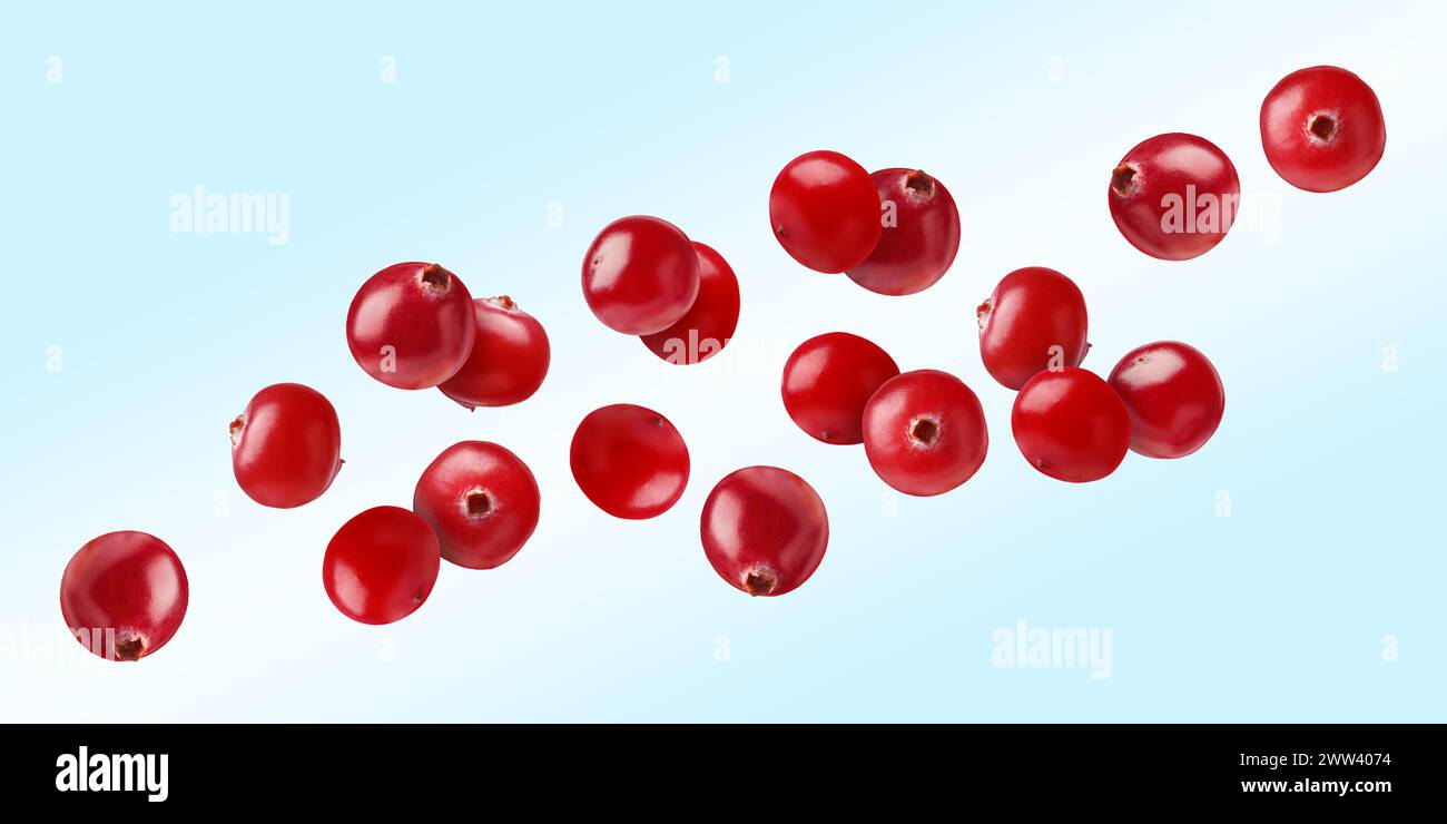Fresh red cranberries flying on light blue background Stock Photo - Alamy