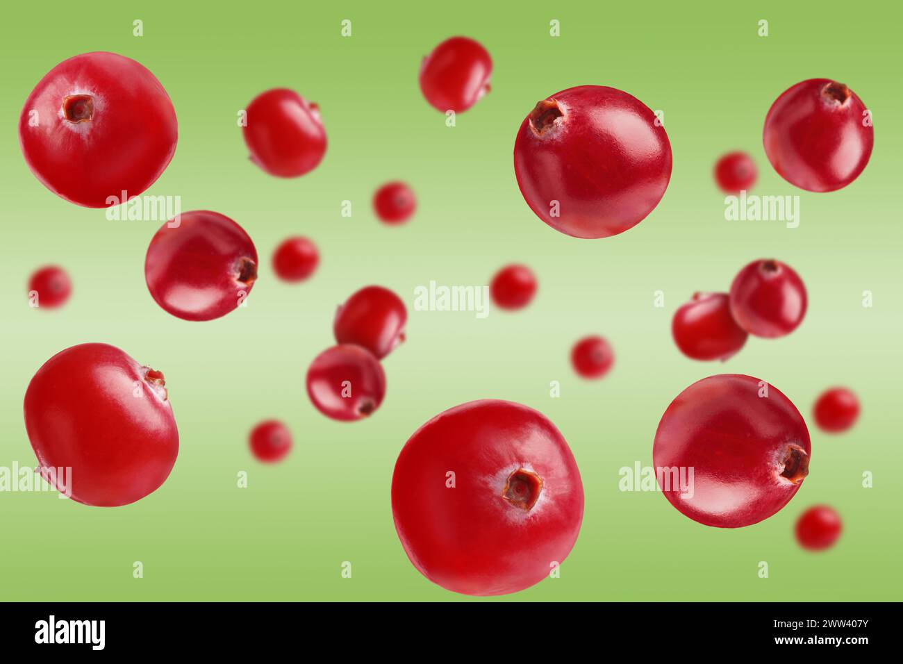 Fresh red cranberries falling on green background Stock Photo - Alamy