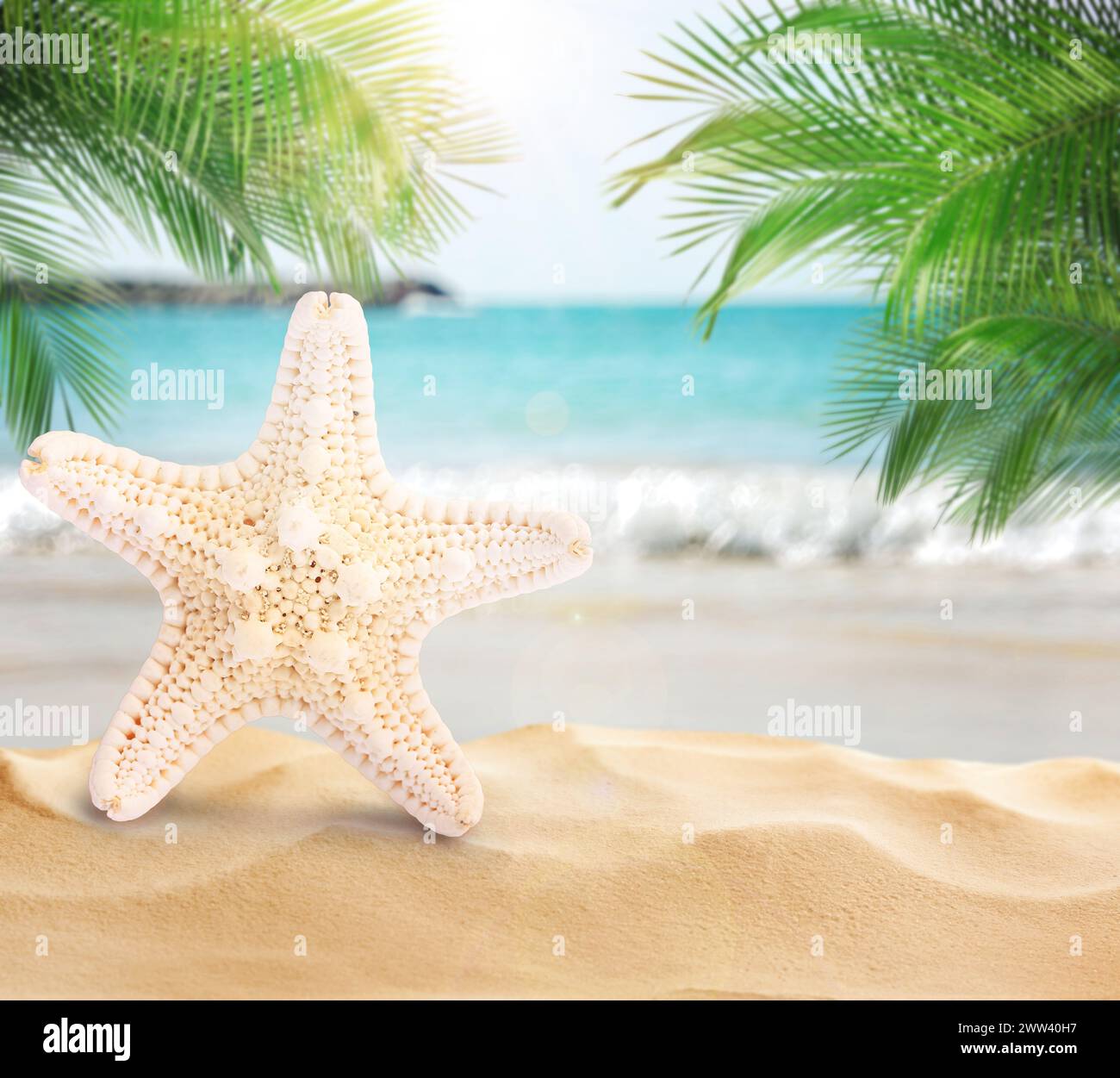 Beautiful starfish on sandy beach near sea, space for text Stock Photo ...