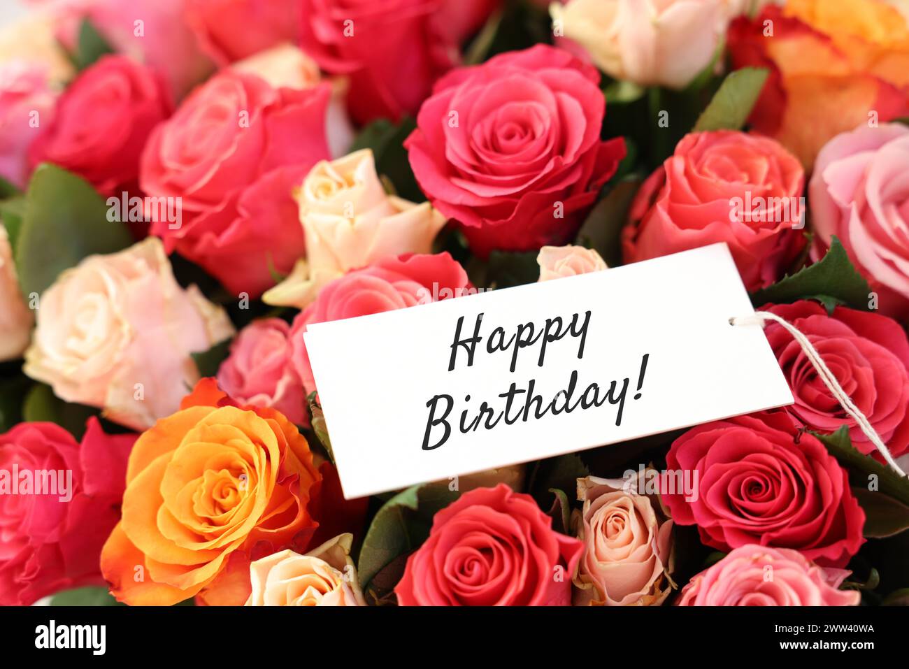 Bouquet of beautiful roses with Happy Birthday card, closeup Stock ...