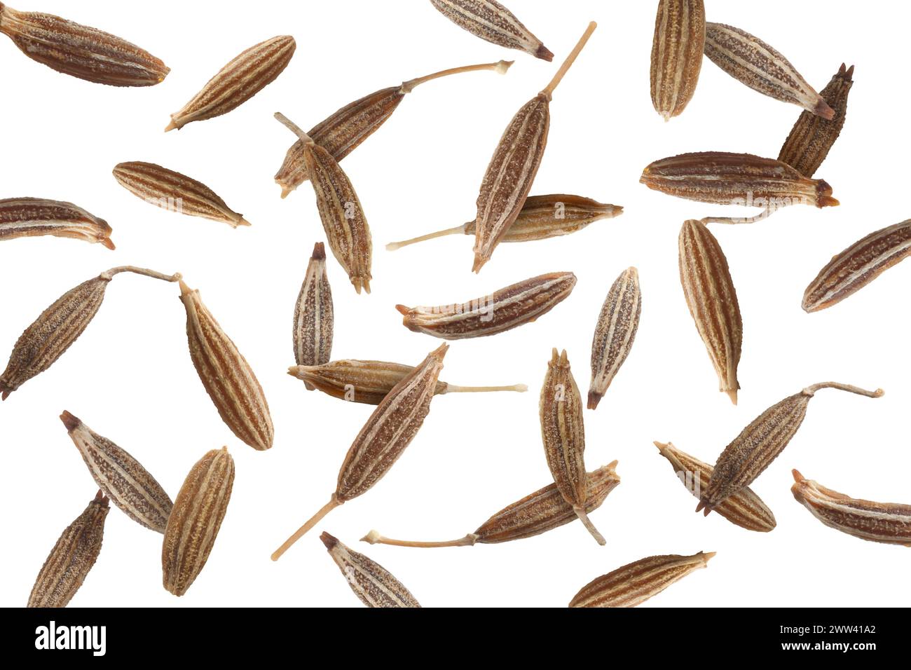 Many cumin seeds falling on white background Stock Photo - Alamy