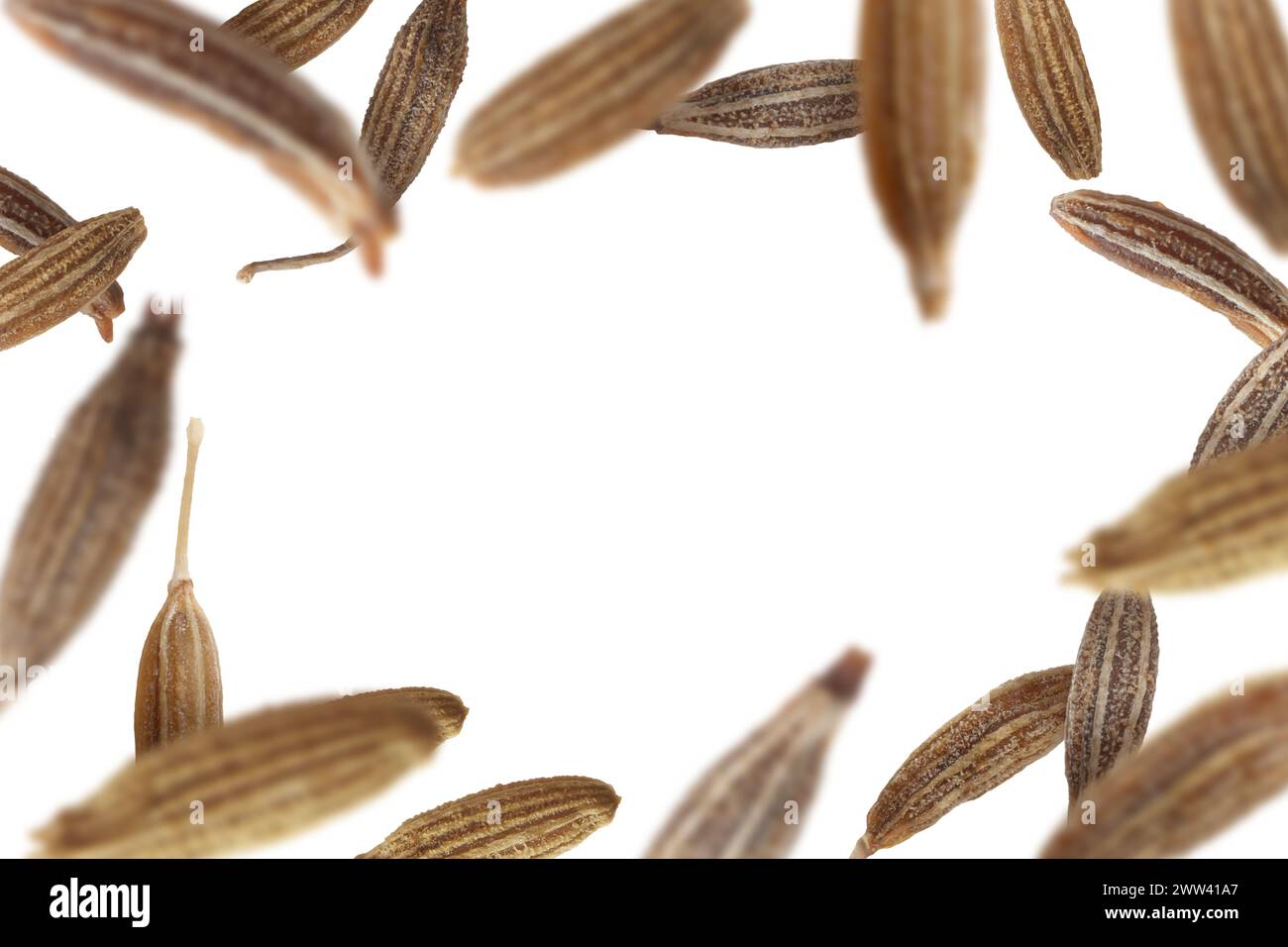 Indian seeds falling hi-res stock photography and images - Alamy
