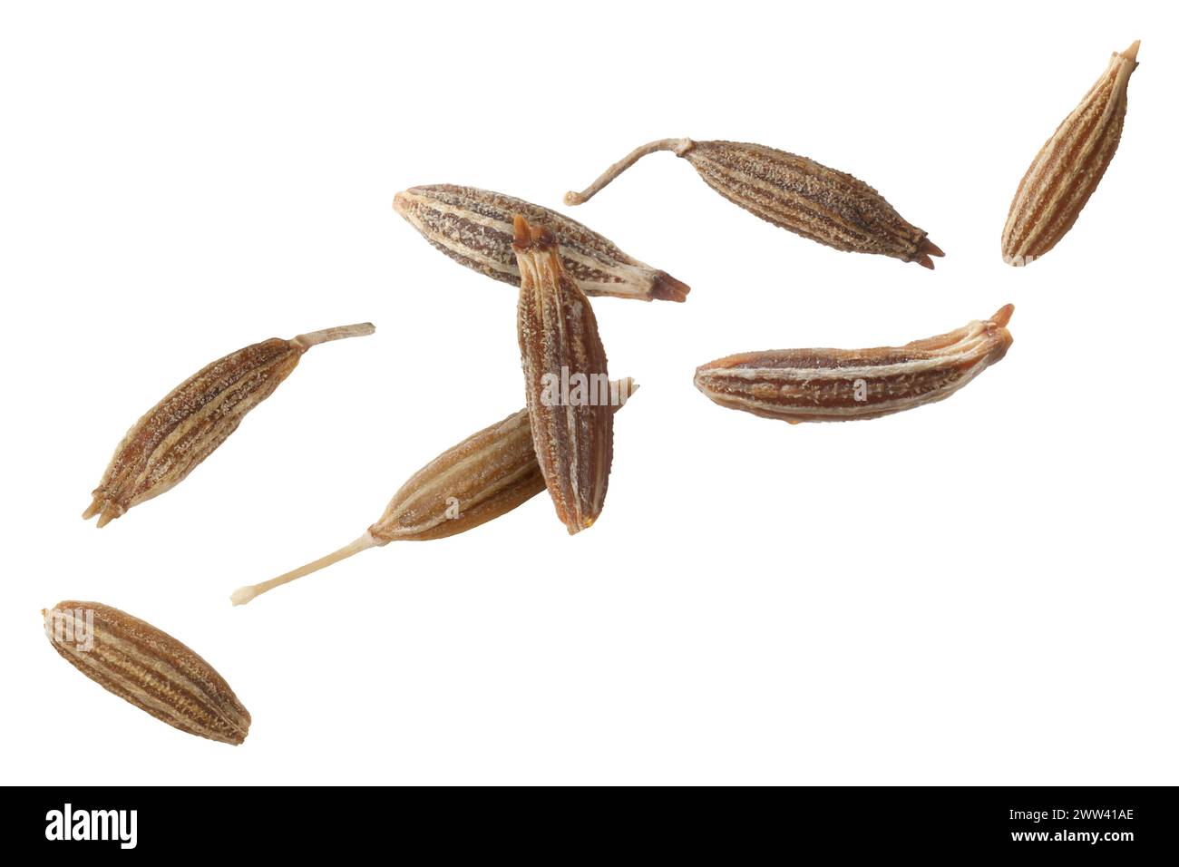 Many cumin seeds falling on white background Stock Photo - Alamy
