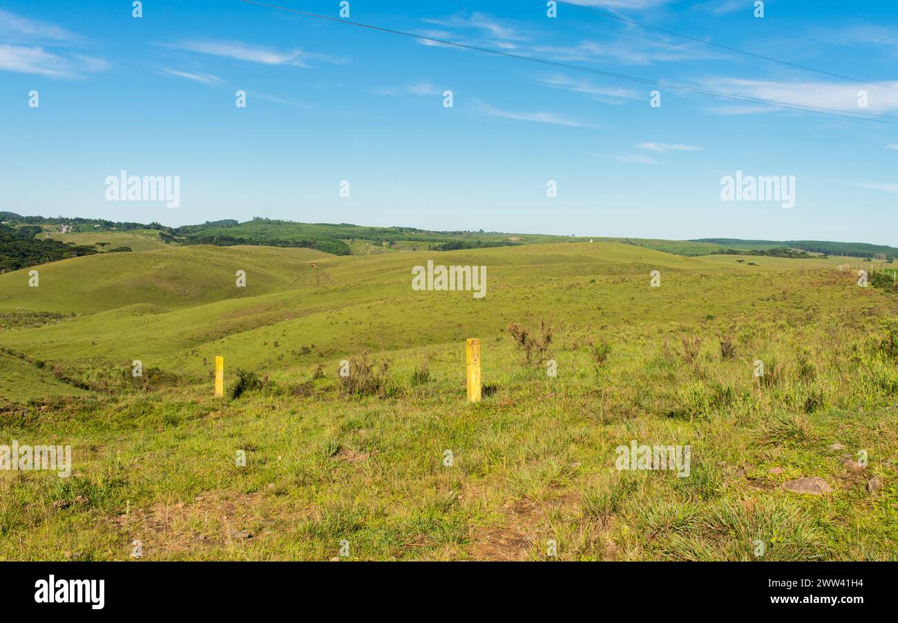 A view of the Brazilian Subtropical Highland Grasslands (Campos de Cima ...