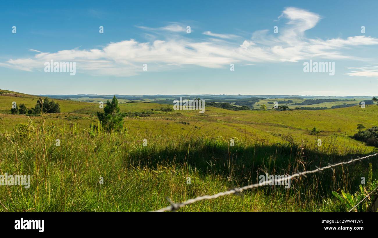 Brazilian subtropical highland grasslands hi-res stock photography and ...