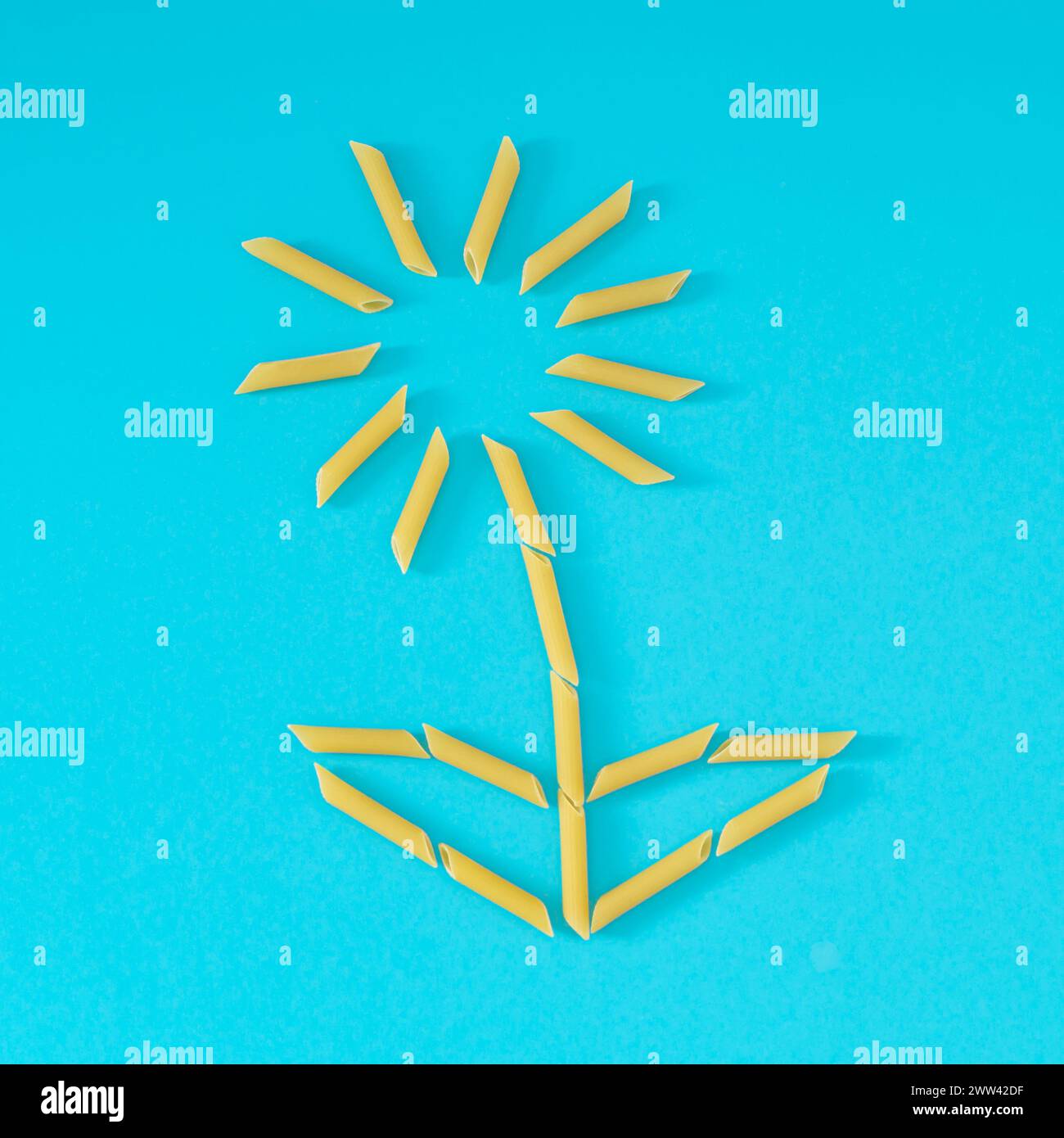 Creative food composition of yellow flower made with pasta penne rigate ...