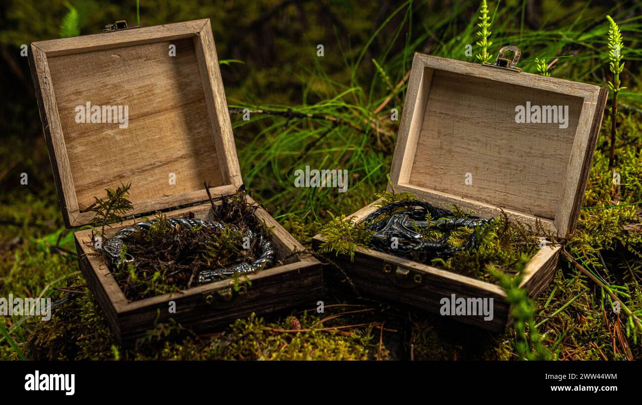 Trees for crates hi-res stock photography and images - Alamy