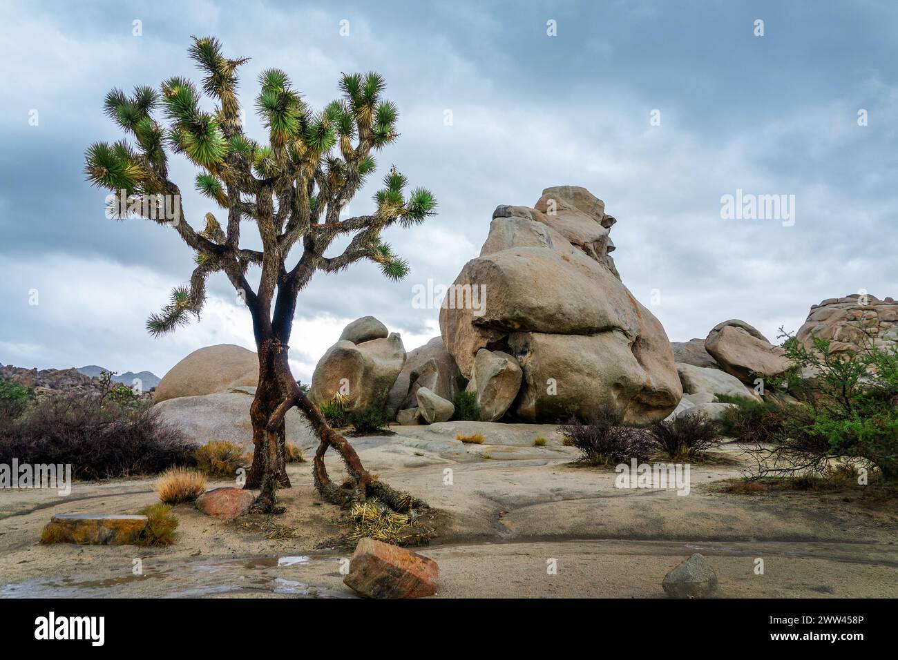 Hidden Valley in Joshua Tree national park landscape, Dramatic sky with ...