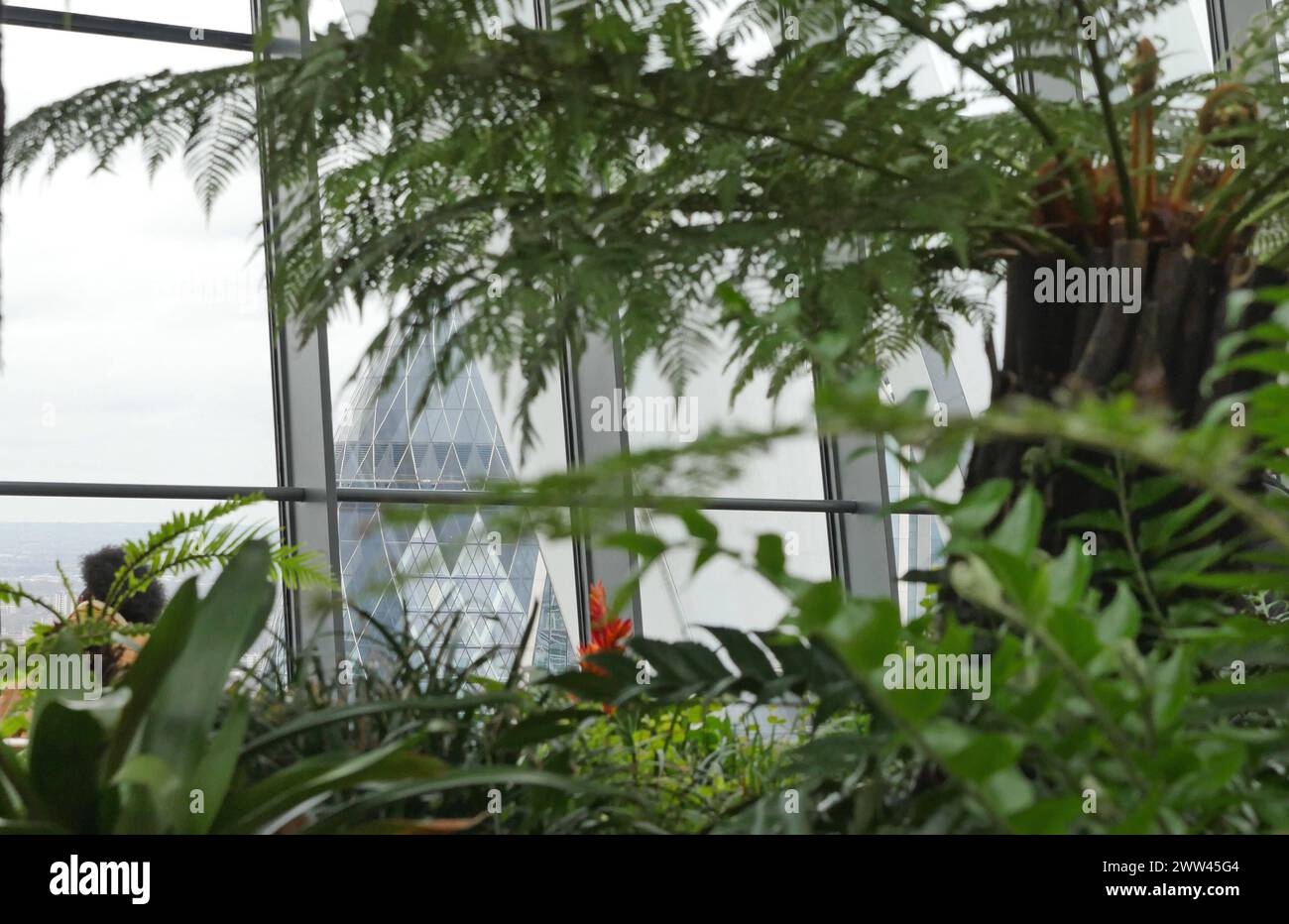 Großbritannien, London. Besuchermagnet Sky Garden in der City of London ...