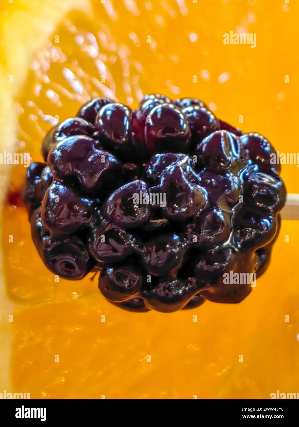 Berry bliss. Blackberry close up with orange slice background Stock ...